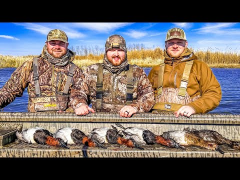 INSANE public land CANVASBACK duck hunt (LIMITED) - YouTube