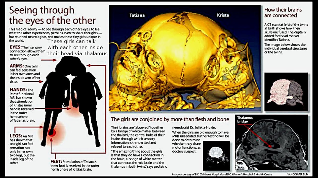 Peter Klevius and Robert Sapolsky on the "free will" myth - YouTube