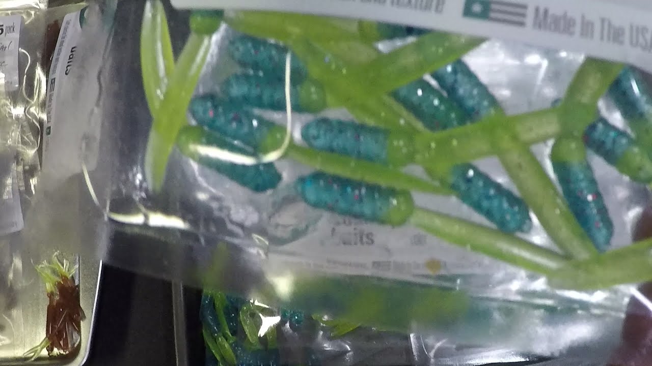 PlumCrazy Chartruse Tadpole Winner PTC - YouTube