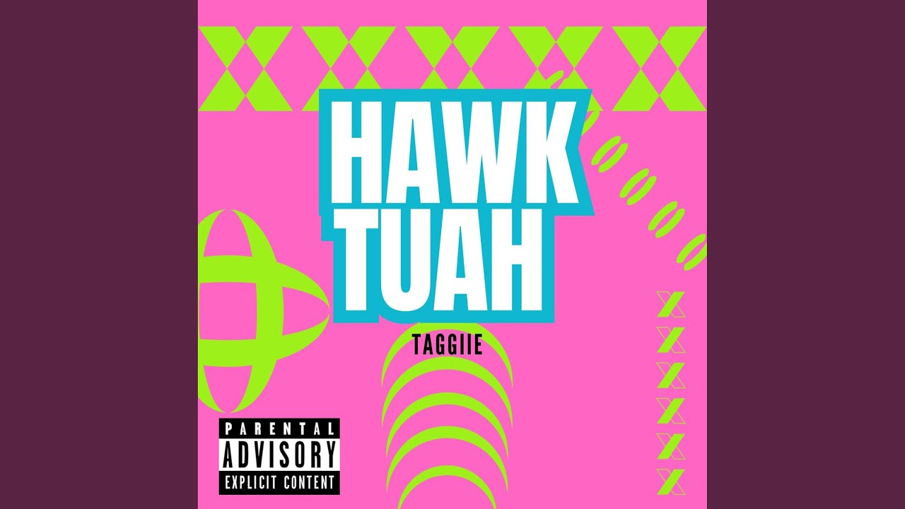 Hawk TuAH - YouTube