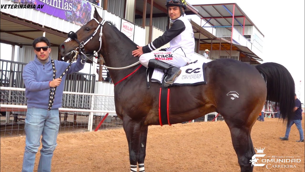🔥Superman C. Cantereros Vs. Simba C. Refugio🔥. JC's Playgrounds, TX ...