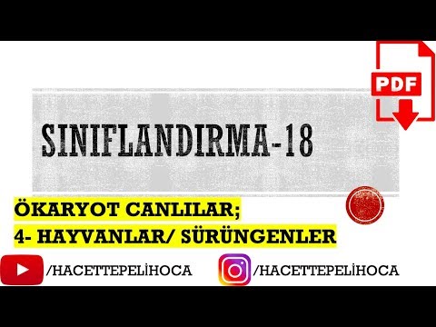 67 - SINIFLANDIRMA - 18 - SÜRÜNGENLER(reptilia) - | TYT | 9.Sınıf | #hacettepelihoca
