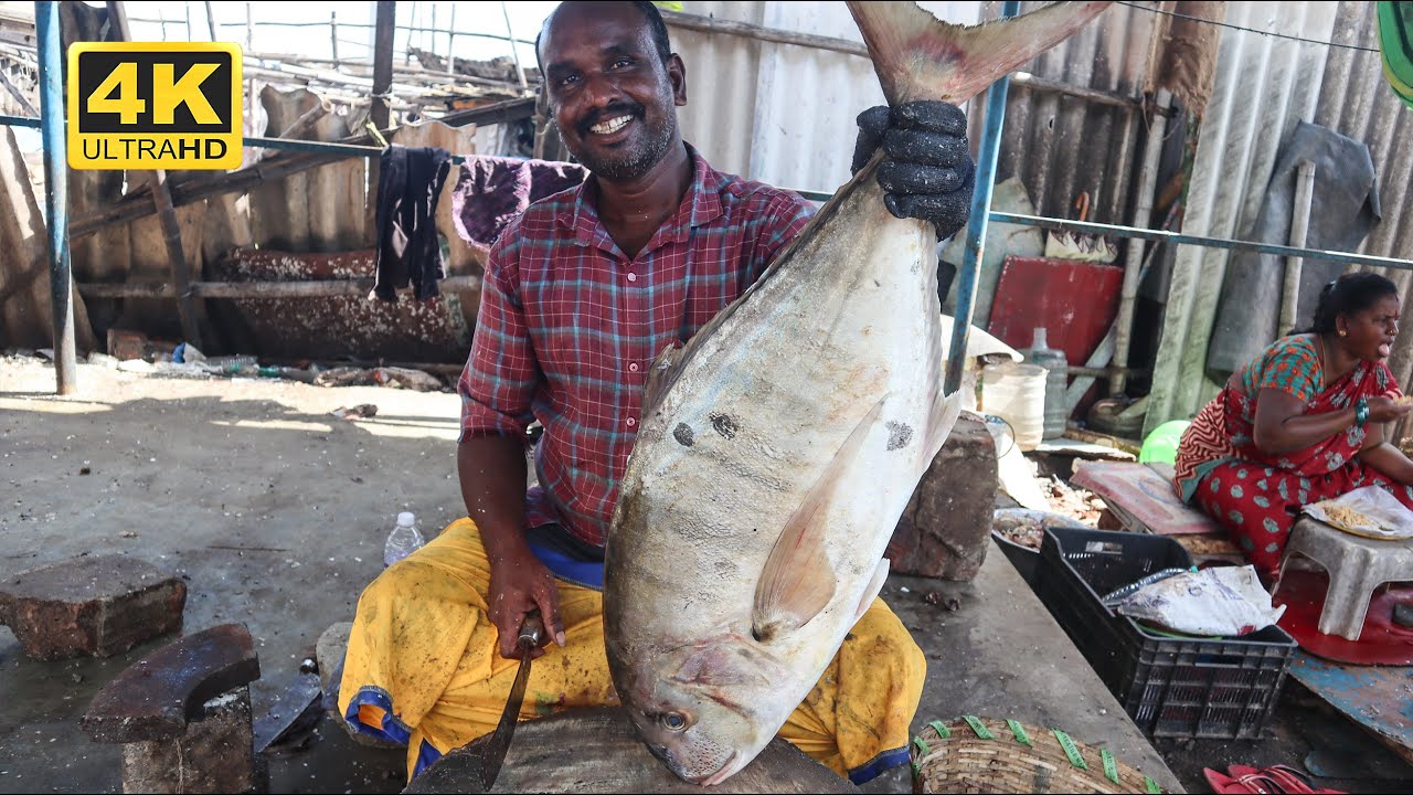 BIG SIZE PAARAI MEEN/TREVALLY FISH CUTTING KASIMEDU SANTHIRASEGAR | # ...