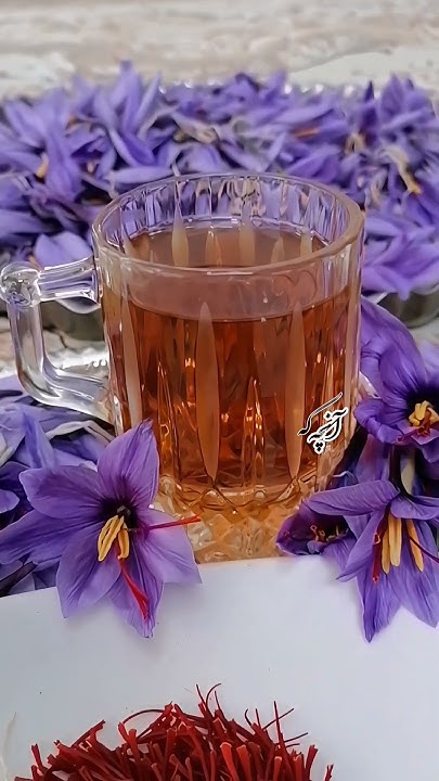 سلام صبحت بخیر رفیق جانم 🙋‍♀️🙋‍♀️ خوشحال میشم همراهم باشی😍 طبیعت صبح چای Youtube