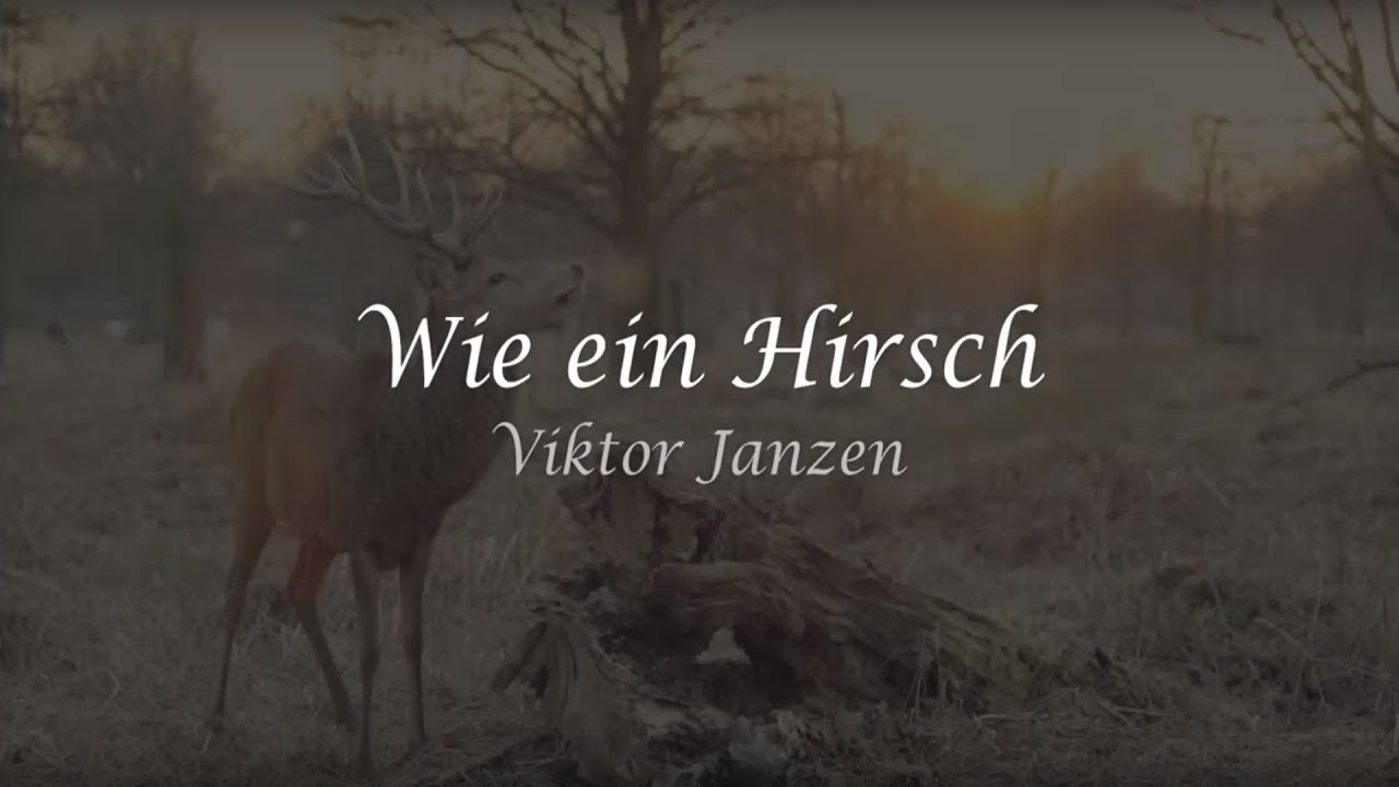 Wie ein Hirsch - Viktor Janzen | Christliches Lied Chords - Chordify
