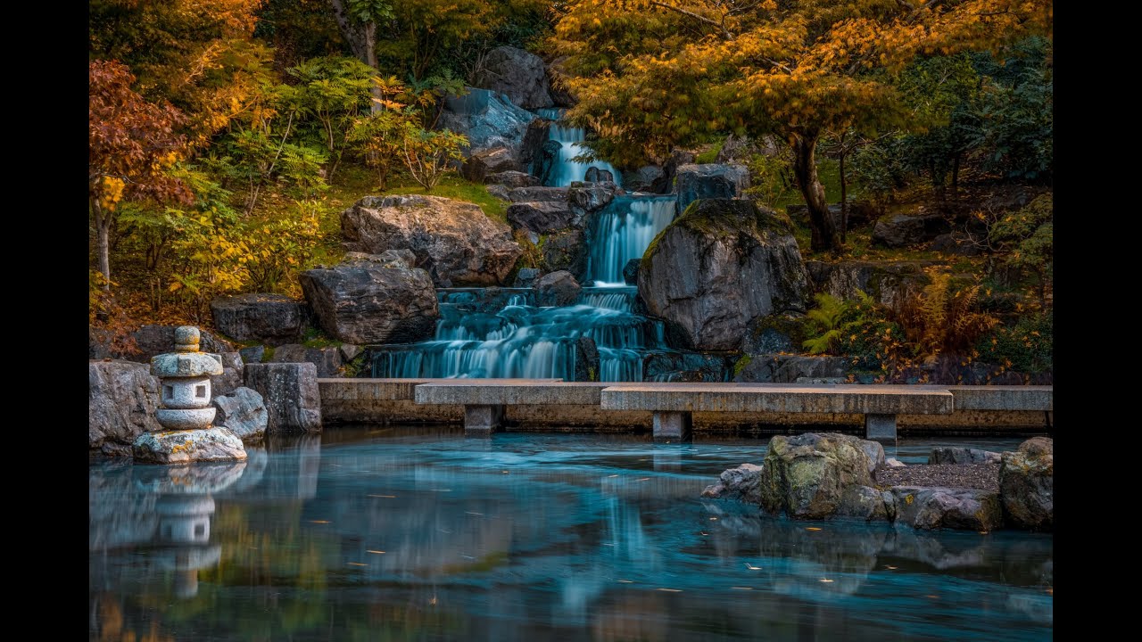 Amazing Natural Sounds from a Japanese Water Garden for MEDITATION ...
