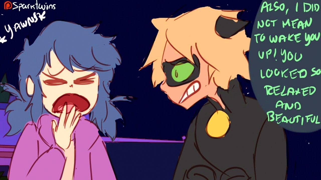 THINGS HE KNOWS *NEW*【Miraculous Ladybug Comic Dub Compilation - YouTube