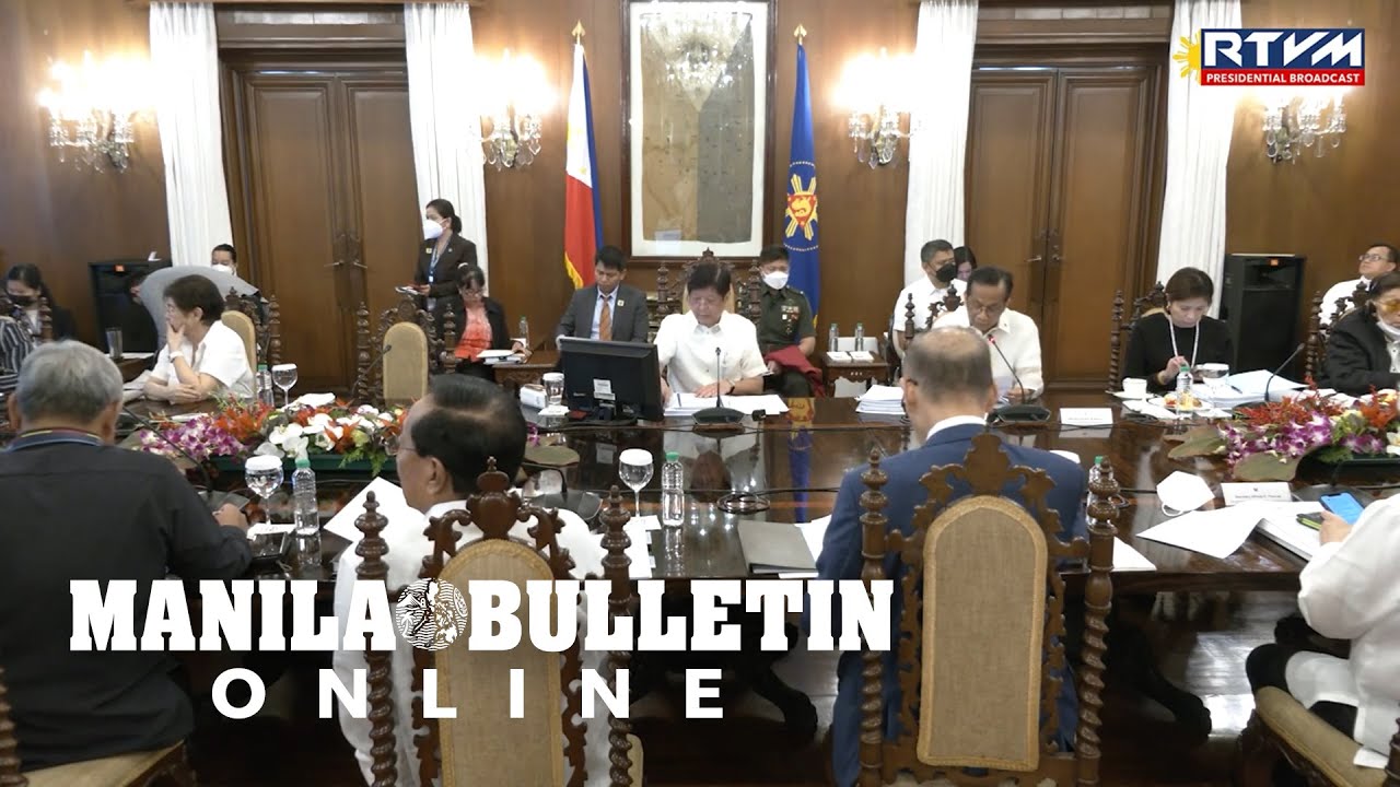 NEDA Board clears six new, revised projects - YouTube