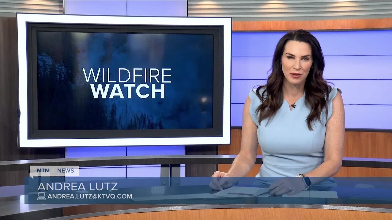 MTN 5:30 News on Q2 with Andrea Lutz 8-29-24 - YouTube