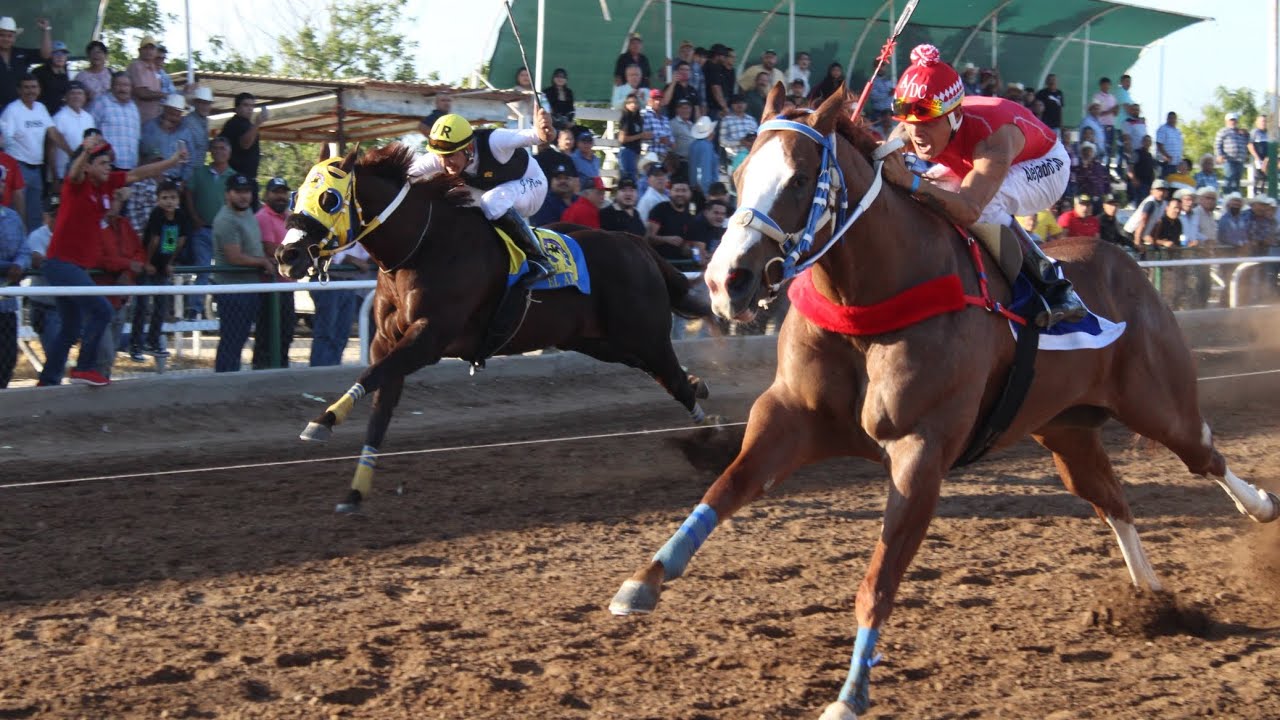 EL MEJOR CABALLO DEL NORTE DE SINALOA|EL CANELO VS EL AMIGO 252M. - YouTube