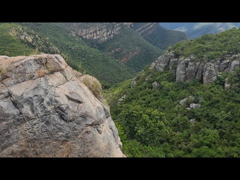 ALX Ventures Gig-at-a-Startup Program #ALX #viralvideo - YouTube