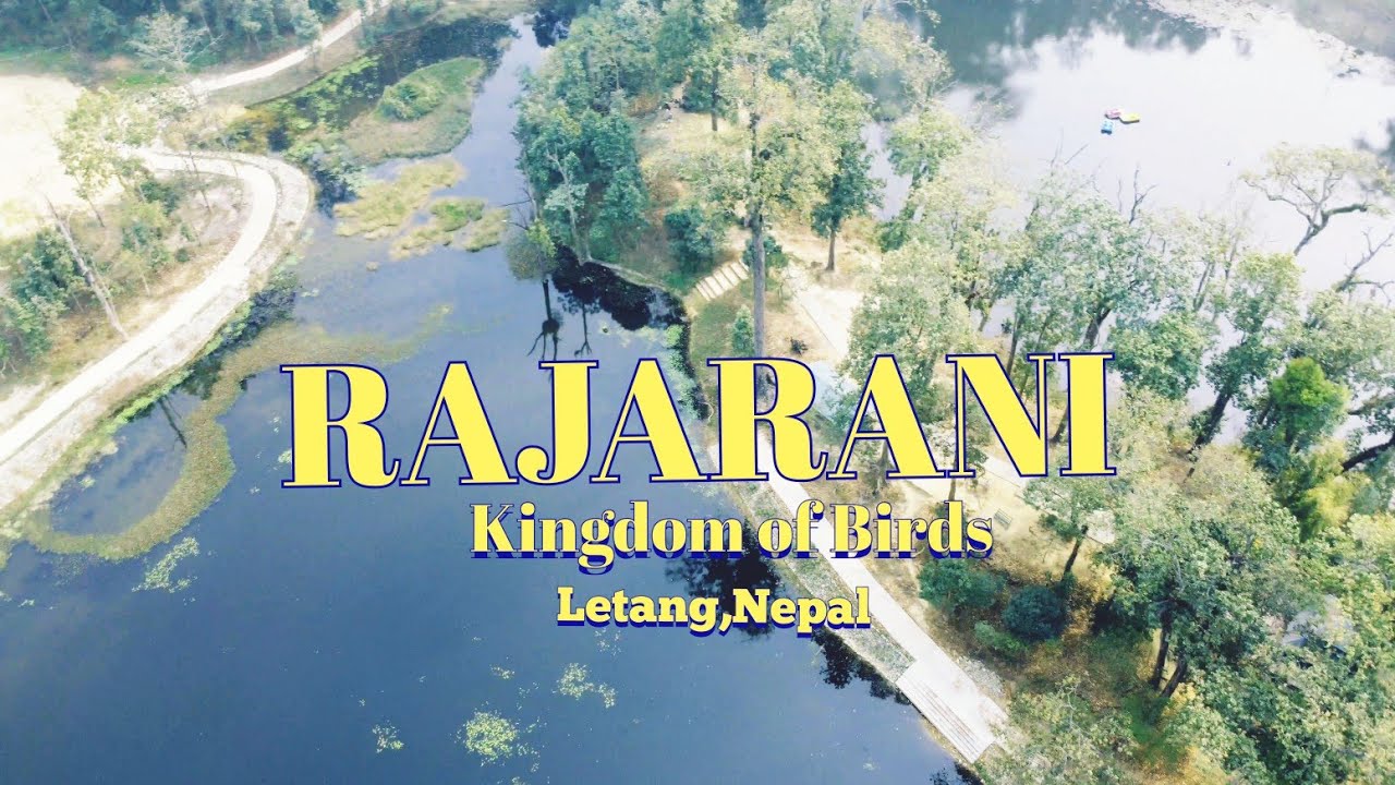 Rajarani (Taal) lake || Biggest wet land in Eastern part of Nepal ...