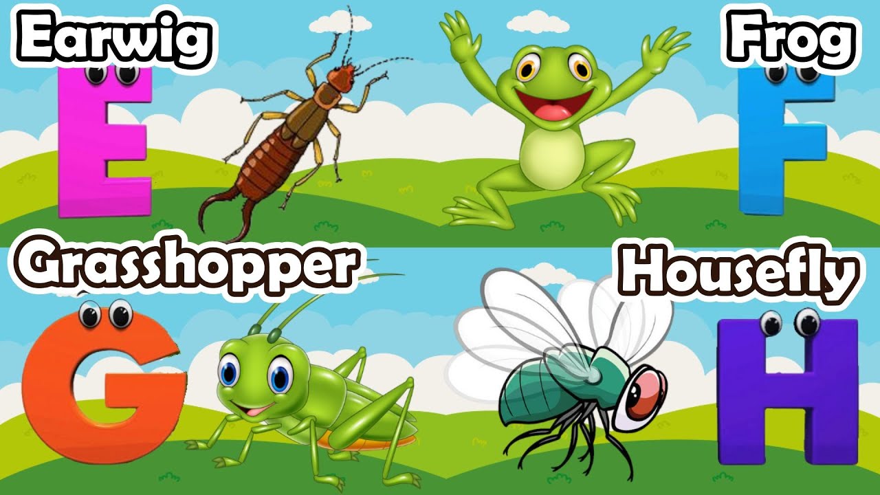 Abc Insect Song | A to Z Insects Song | Insects Alphabet song | Phonics ...