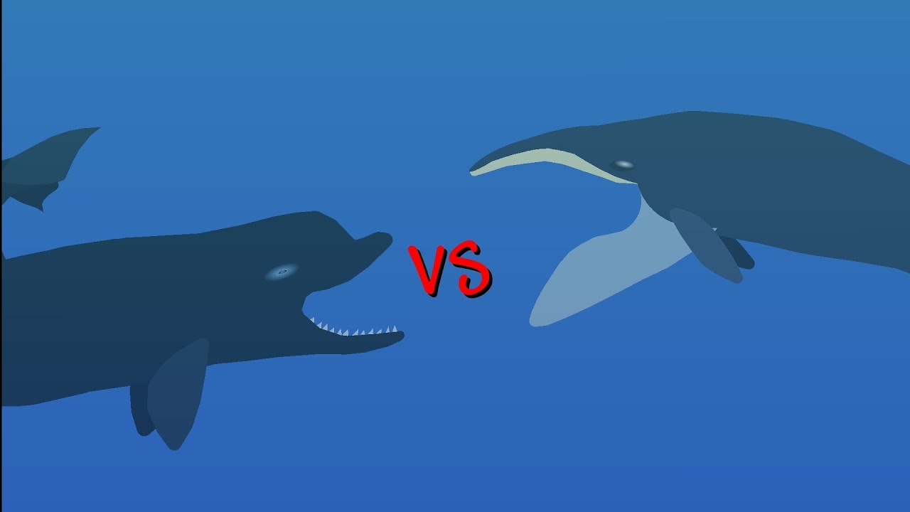 (SNPMCB) Acrophyseter VS Cetotherium - YouTube