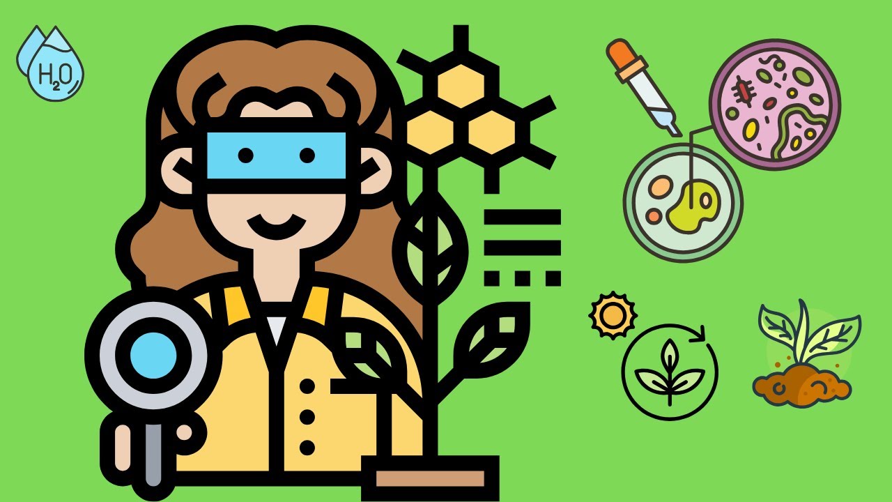 Photosynthesis model for Science Project/Photosynthesis model ...