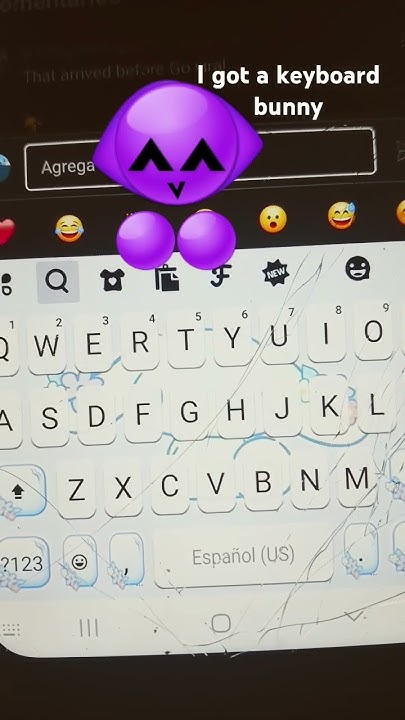 I got a keyboard bunny - YouTube