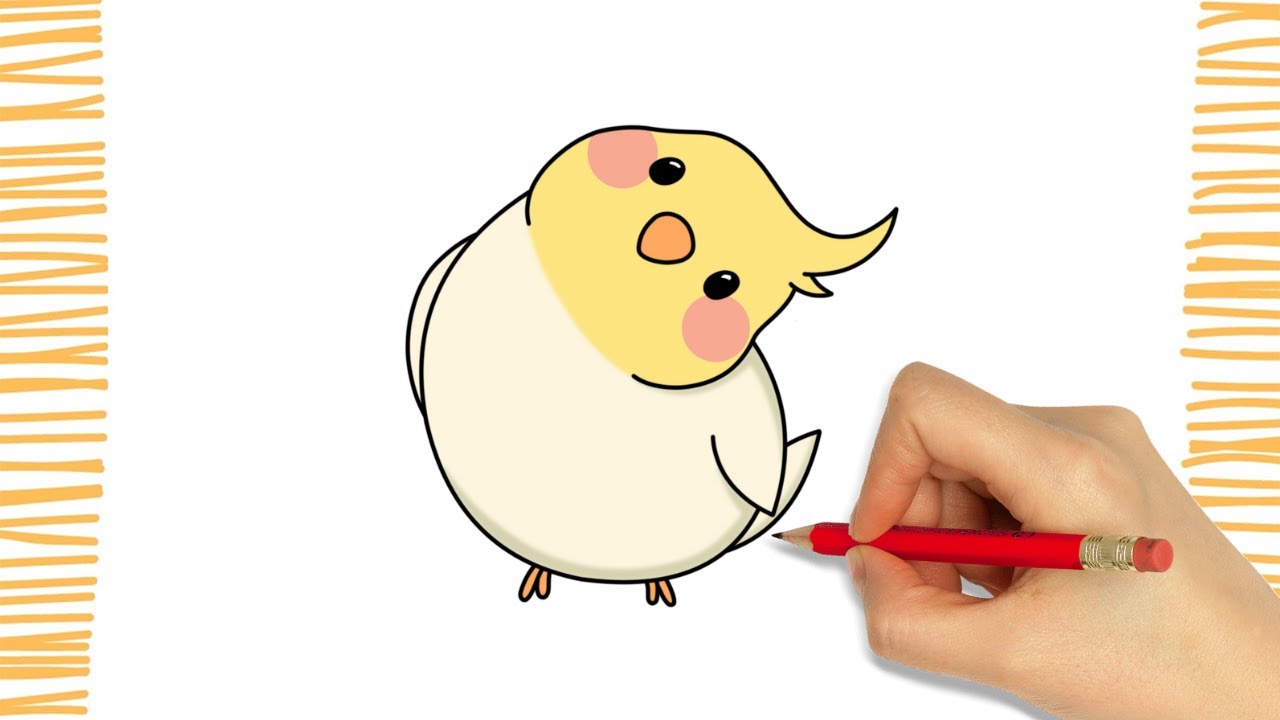 Cute Cockatiel Drawing