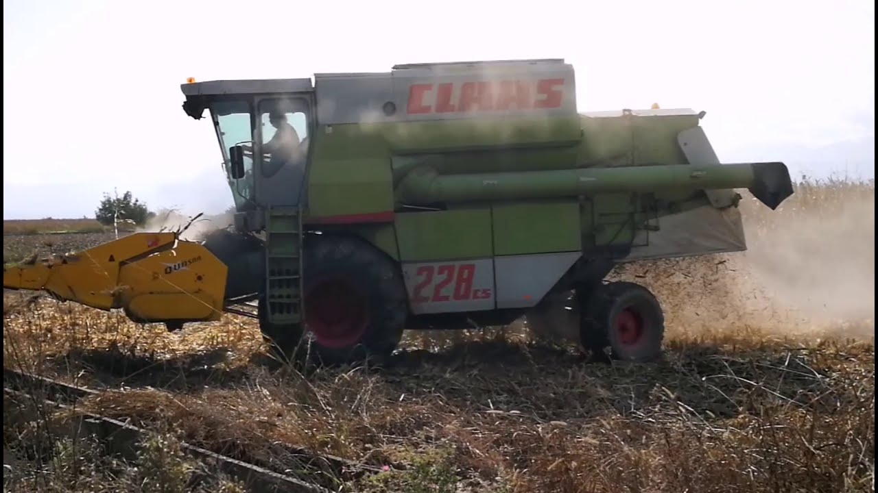 Claas Commandor 228 cs corn harvest - YouTube