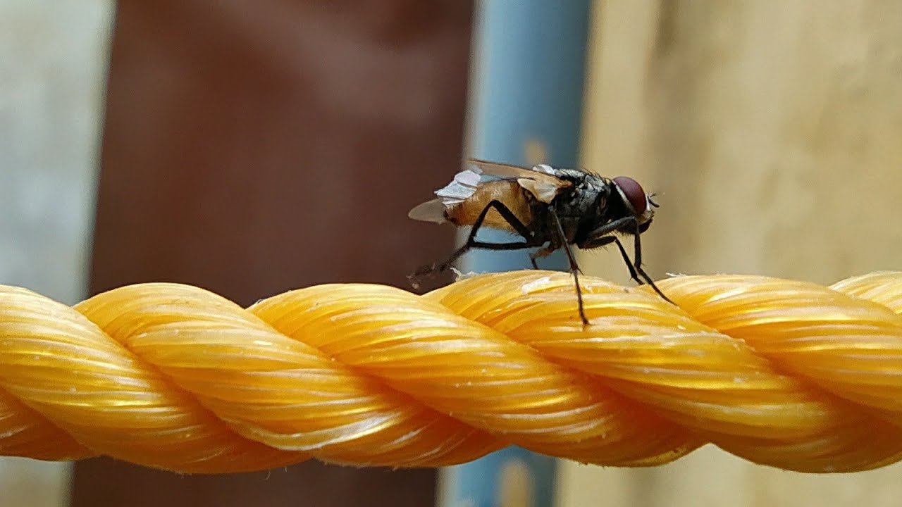 Take these broken wings and learn to FLY - YouTube