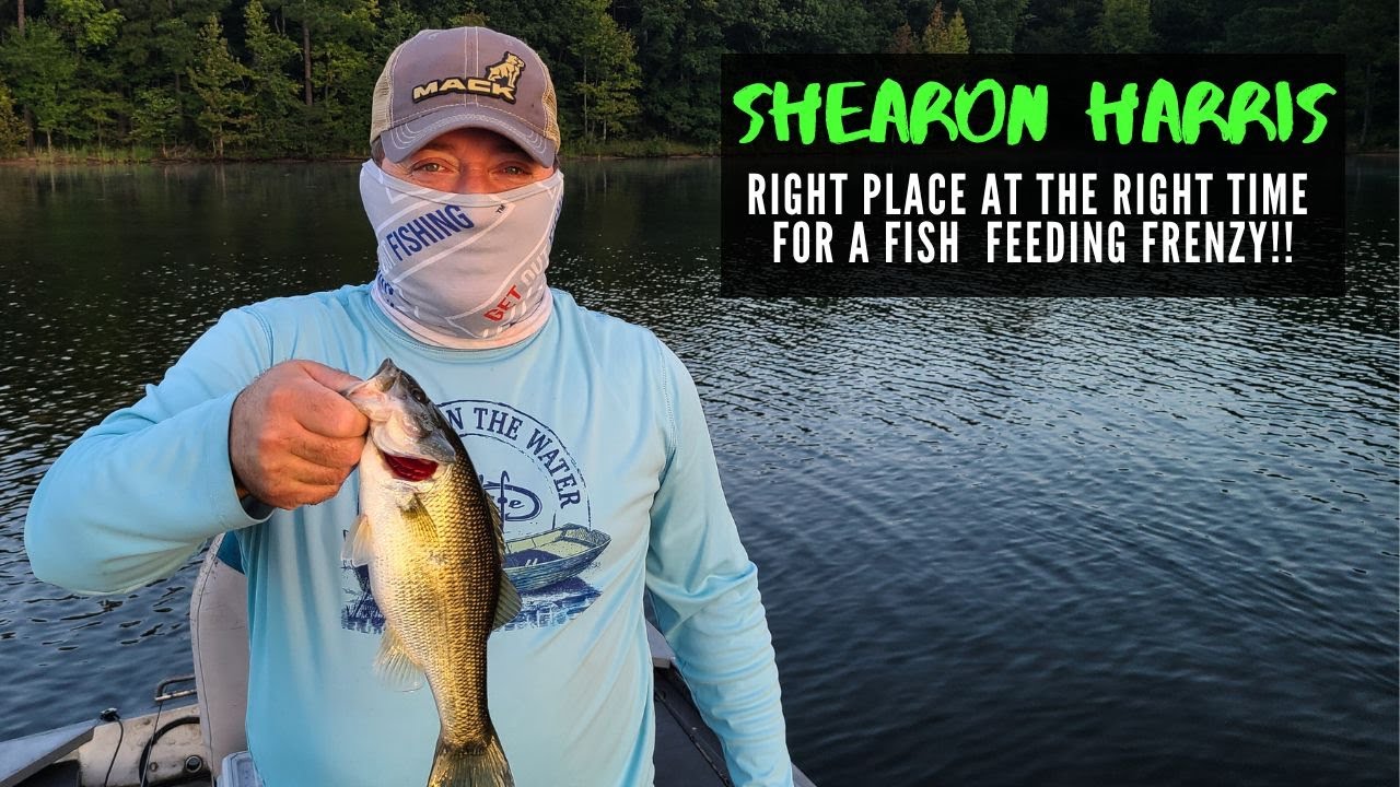 Shearon Harris Fish Feeding Frenzy! Right Place at the Right Time (2023 ...