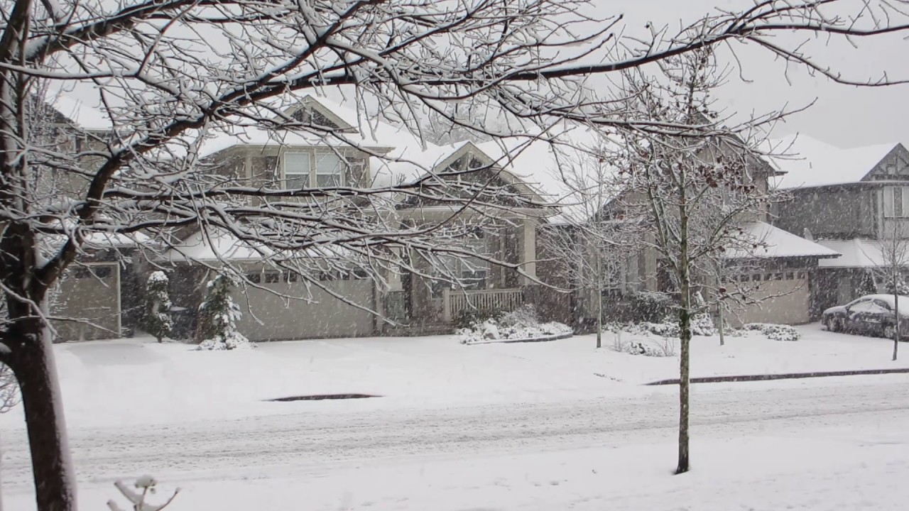 Snow - Front View - YouTube