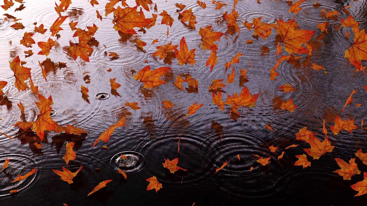Blender particle system - Leaves - YouTube
