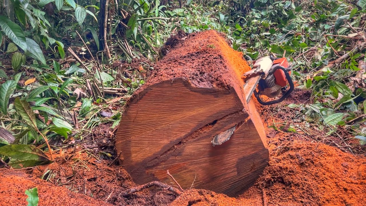 MEMANFAATKAN SISA KAYU MERBAU PENINGGALAN OPERATOR TERDAHULU MENJADI ...
