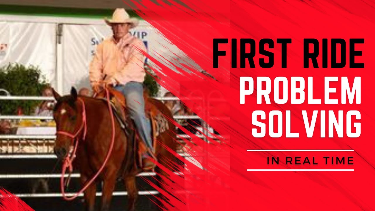 Horse Training Tip- First Ride Problem Solving - YouTube