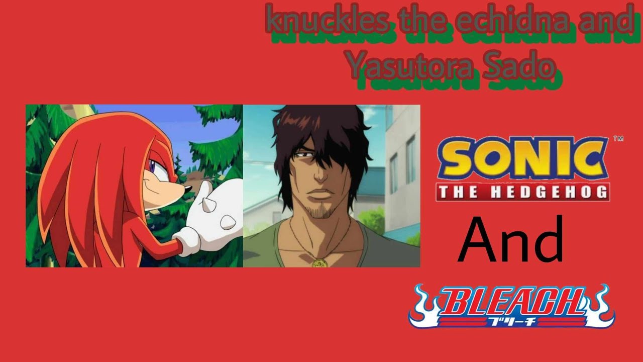 knuckles the echidna sonic and Yasutora sado Bleach - YouTube