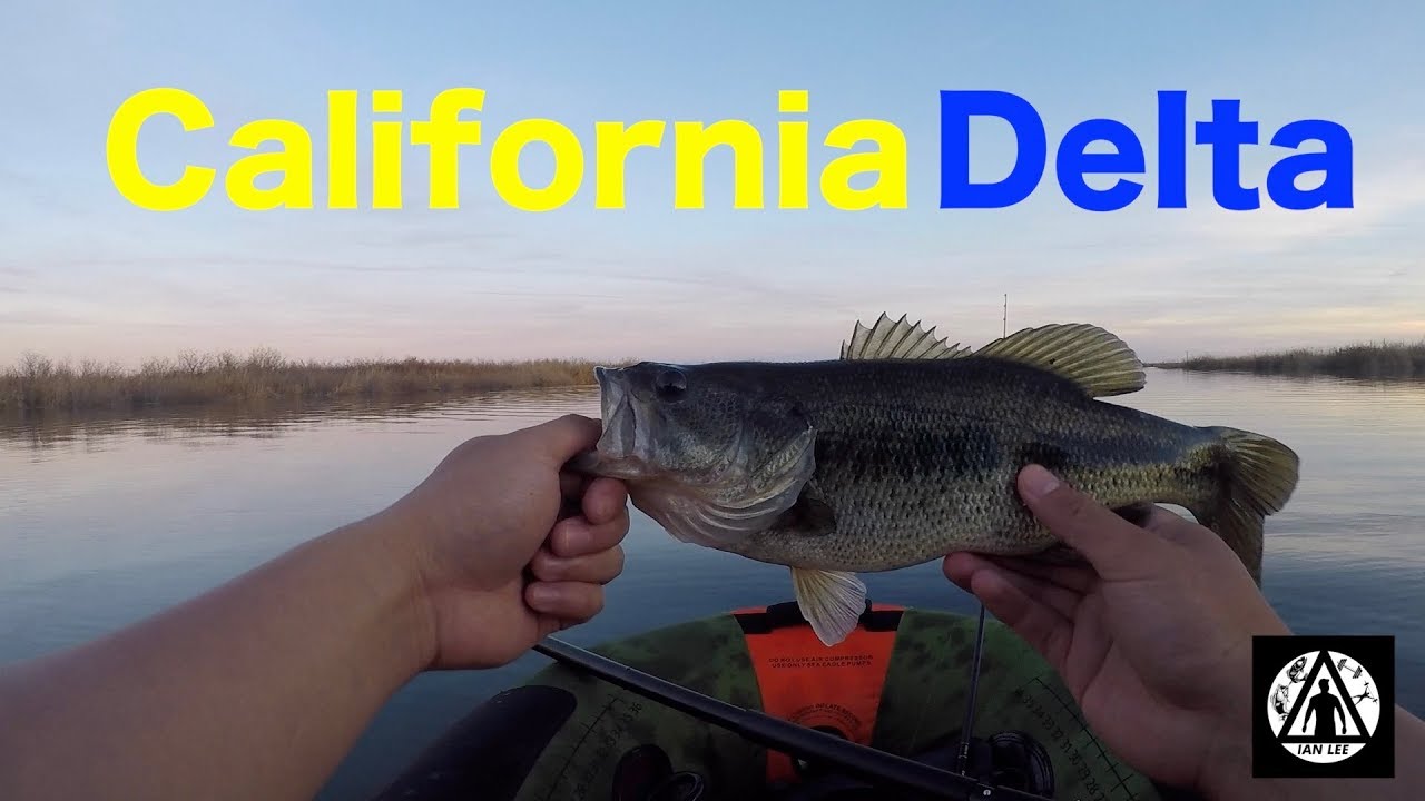 Bass Fishing at the California Delta for the First Time! - YouTube