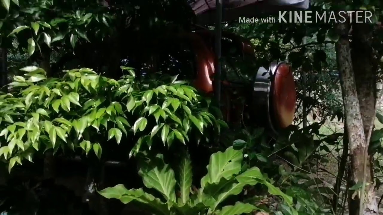 Malabago Beach Tour 🌊⛱️🌴 - YouTube