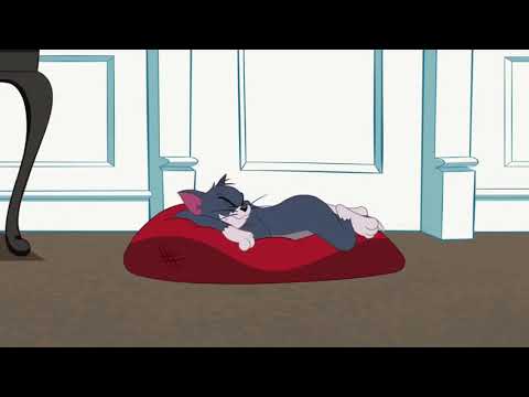 Tom and Jerry: [ Tập 35 & 36 ] chú vẹt đen & 1 nghìn con chuột chũi