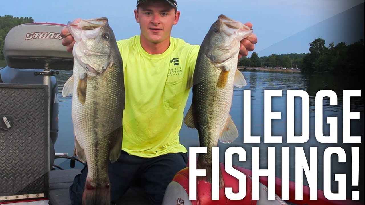 Ledge Fishing For HUGE BASS! || The Famous Tennessee River Ledges - YouTube