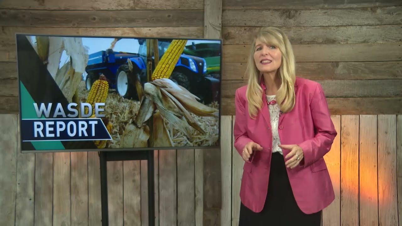 USDA Releases 1st Supply & Demand Report Since Government Shutdown ...
