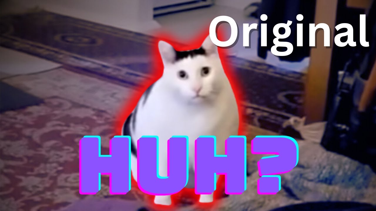 the original cat saying huh | ylyl v5 - YouTube
