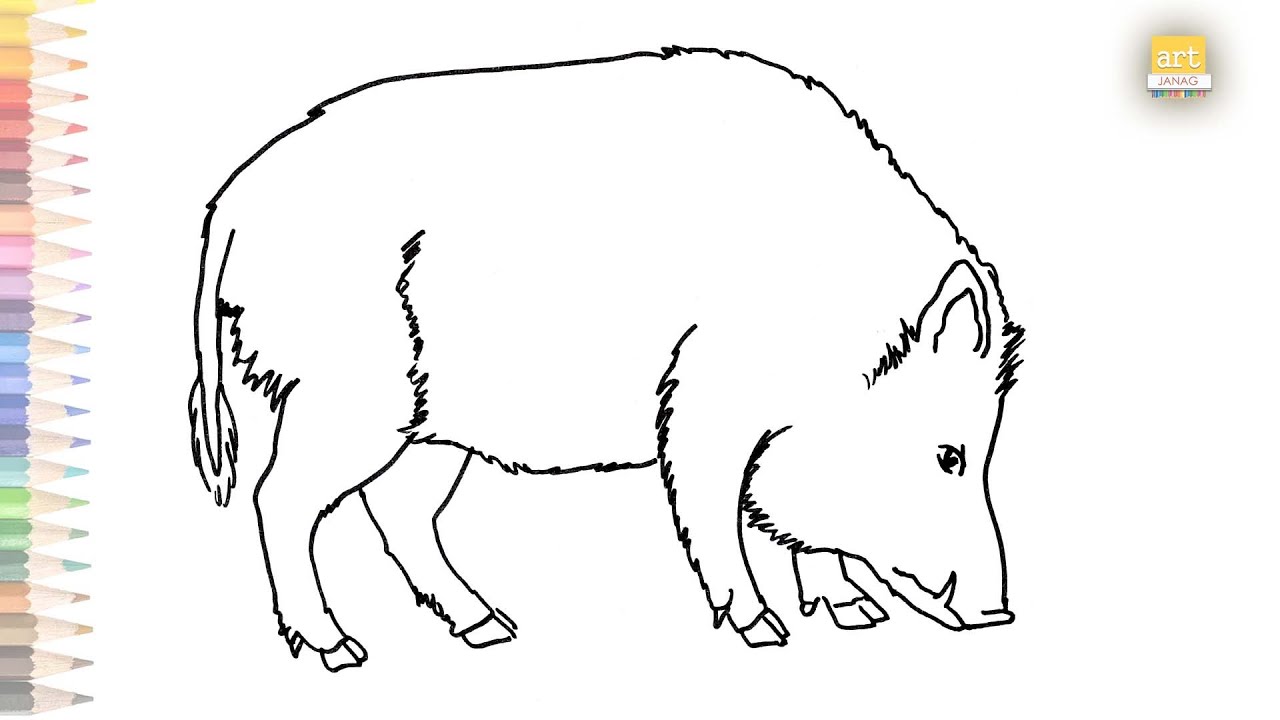 Wild boar outline drawing easy 05 | How to draw Wild boar step by step ...