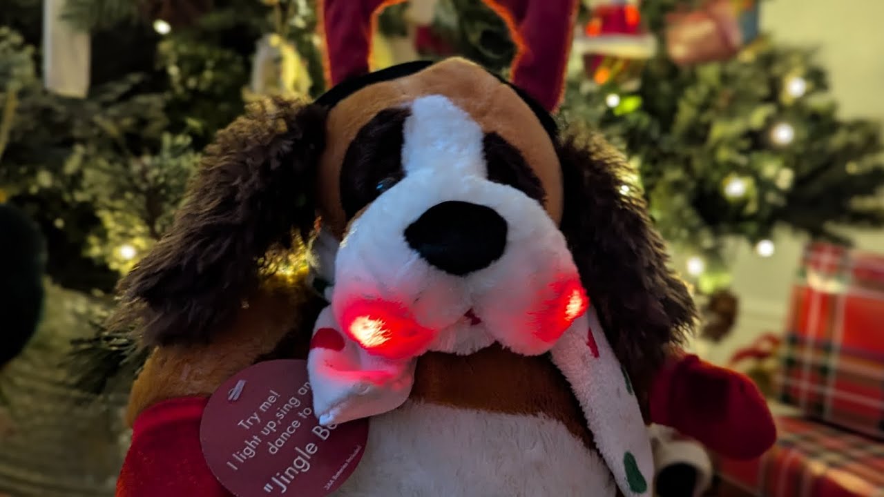 12 Days Till Christmas - Day 11 - Dandee Animated Dancing Bernese ...