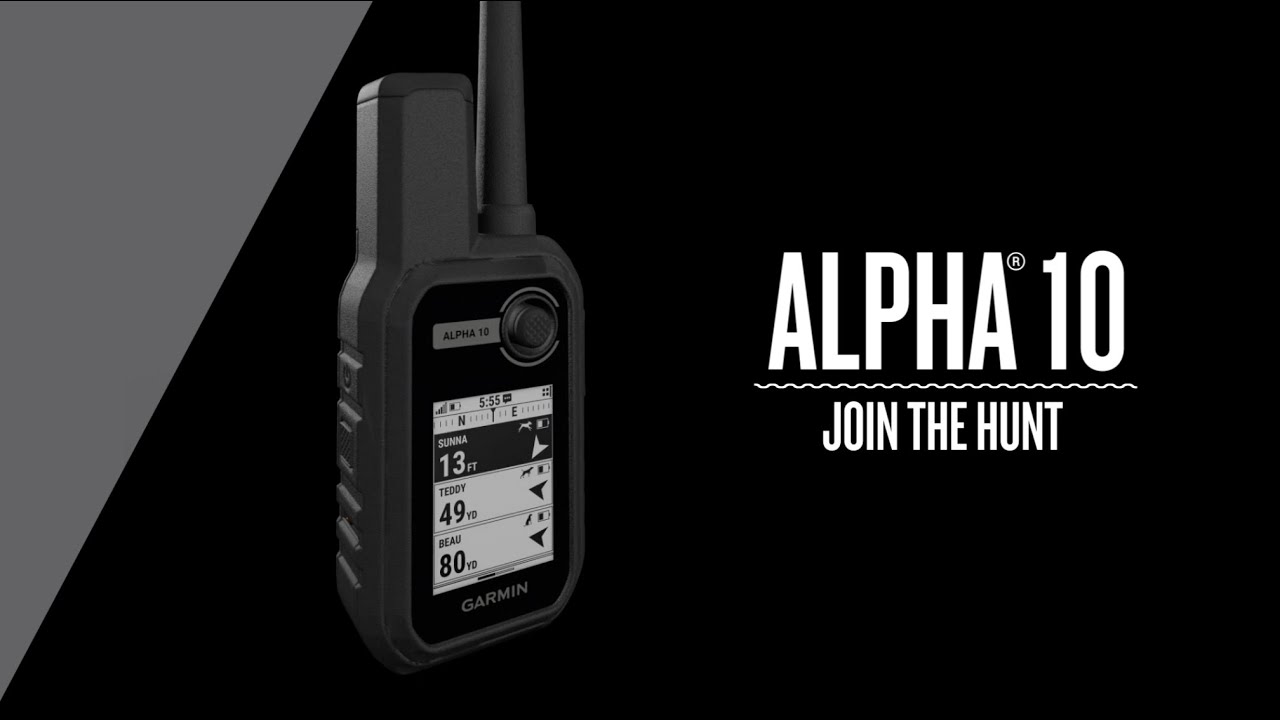 Garmin Alpha 10: At-a-glance dog tracking - YouTube