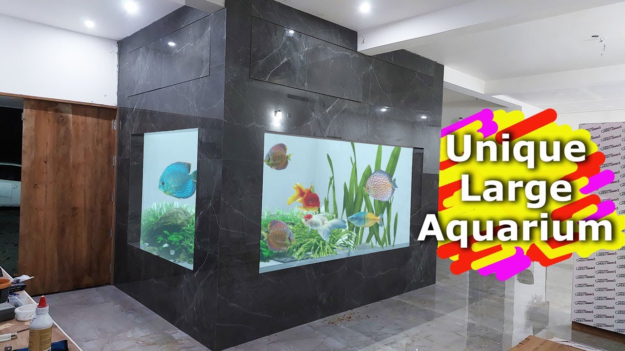 Tour of a Tiled Large Aquarium and a Unique Outhouse - YouTube