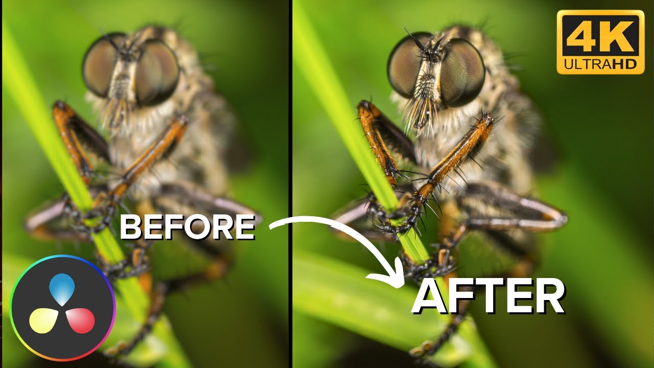 How to Upscale to 4K in DaVinci Resolve 18 - YouTube