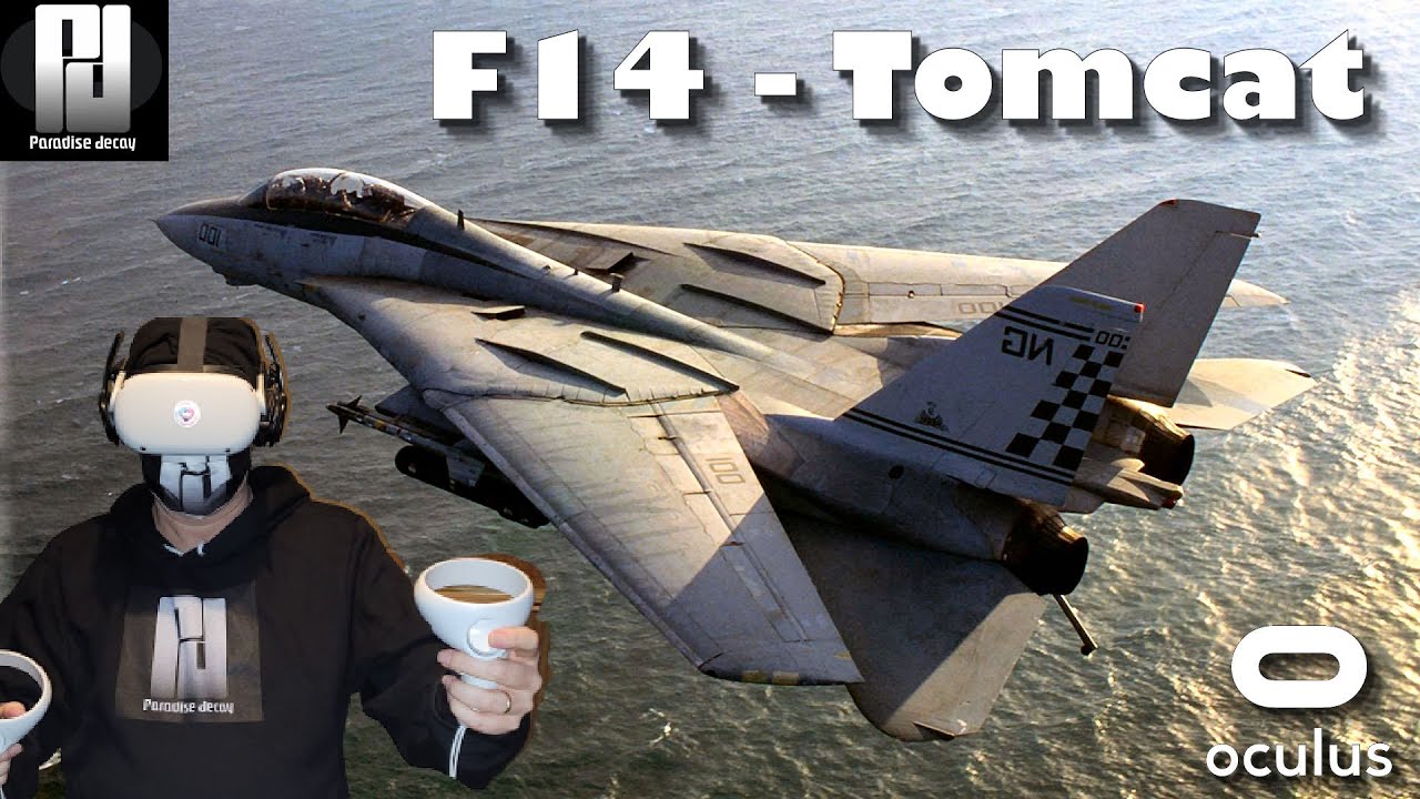 Taking the F-14 TOMCAT out for a SPIN on the Quest 2 - Its MARVELOUS ...