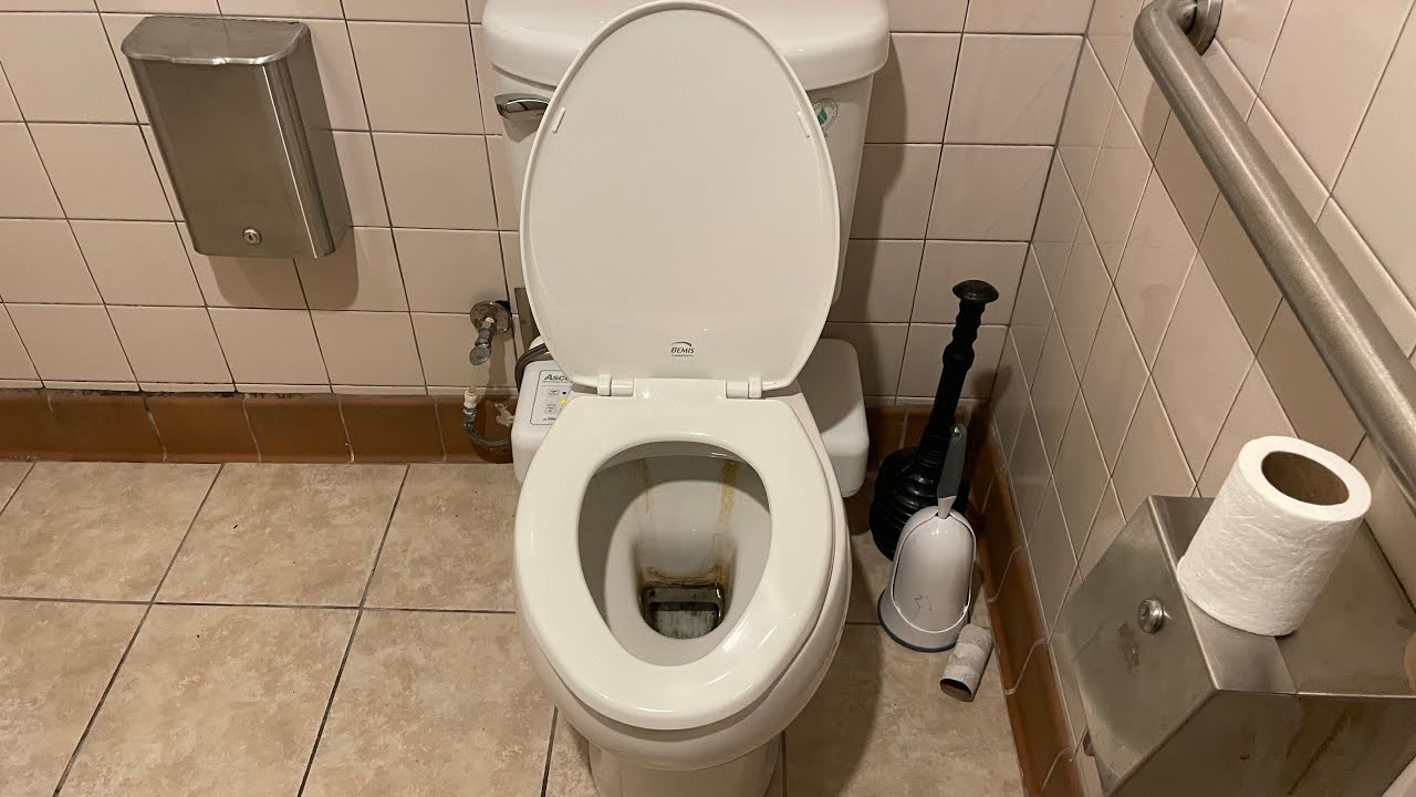 Older LibertyPumps Ascent II Toilet - YouTube