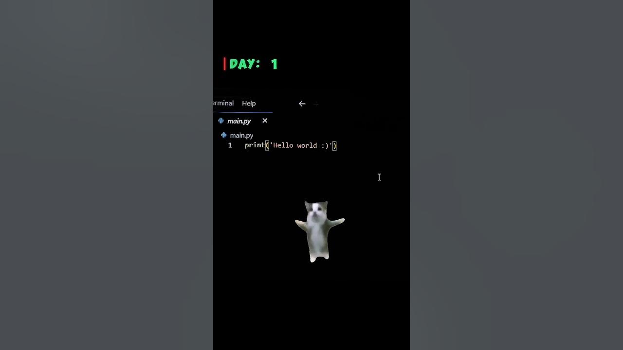 Learning Coding Be Like🧑💻 Coding Programming Fullstackdeveloper Python Htmlcssjs Java