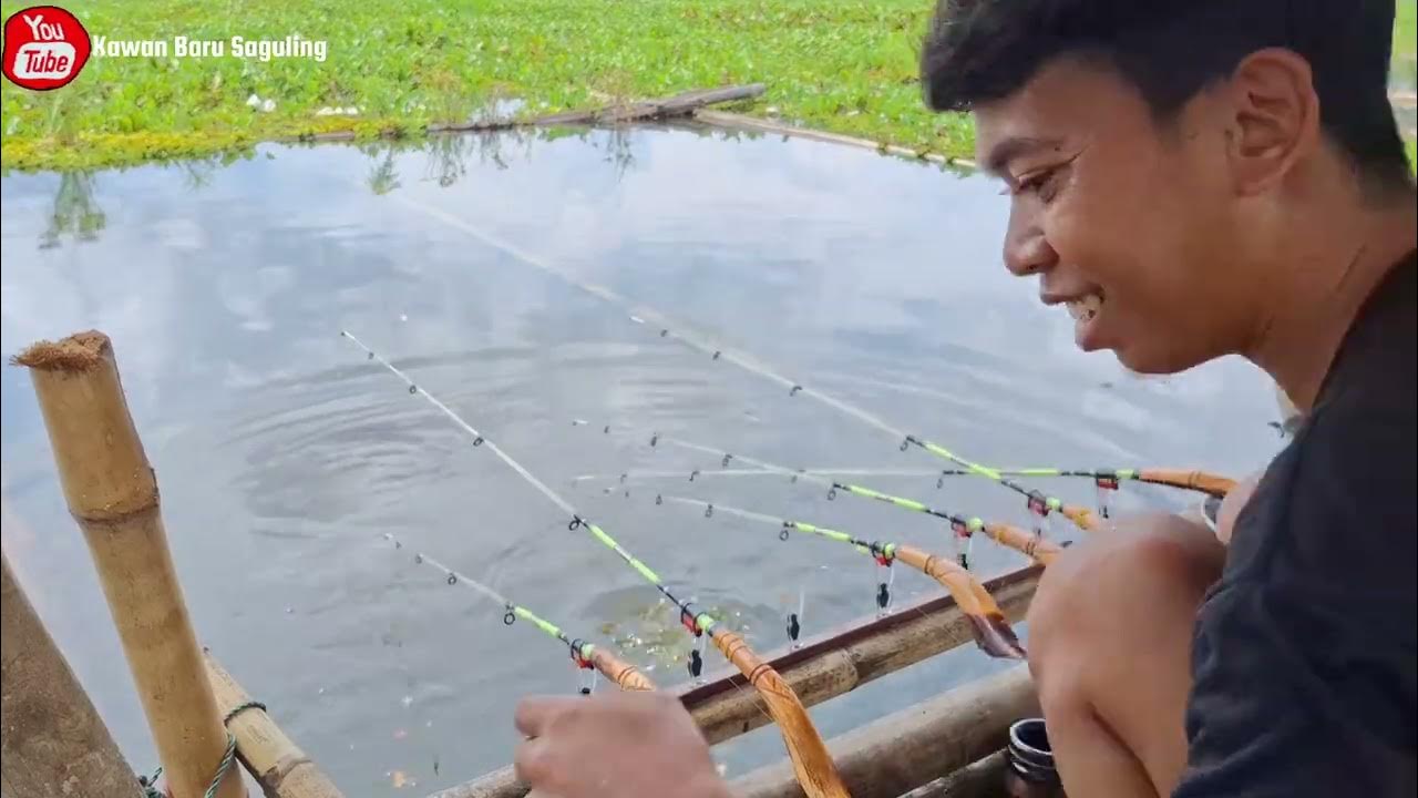 MANCING SAGULING || Debit air naik serangan ikan bikin greget ️ - YouTube