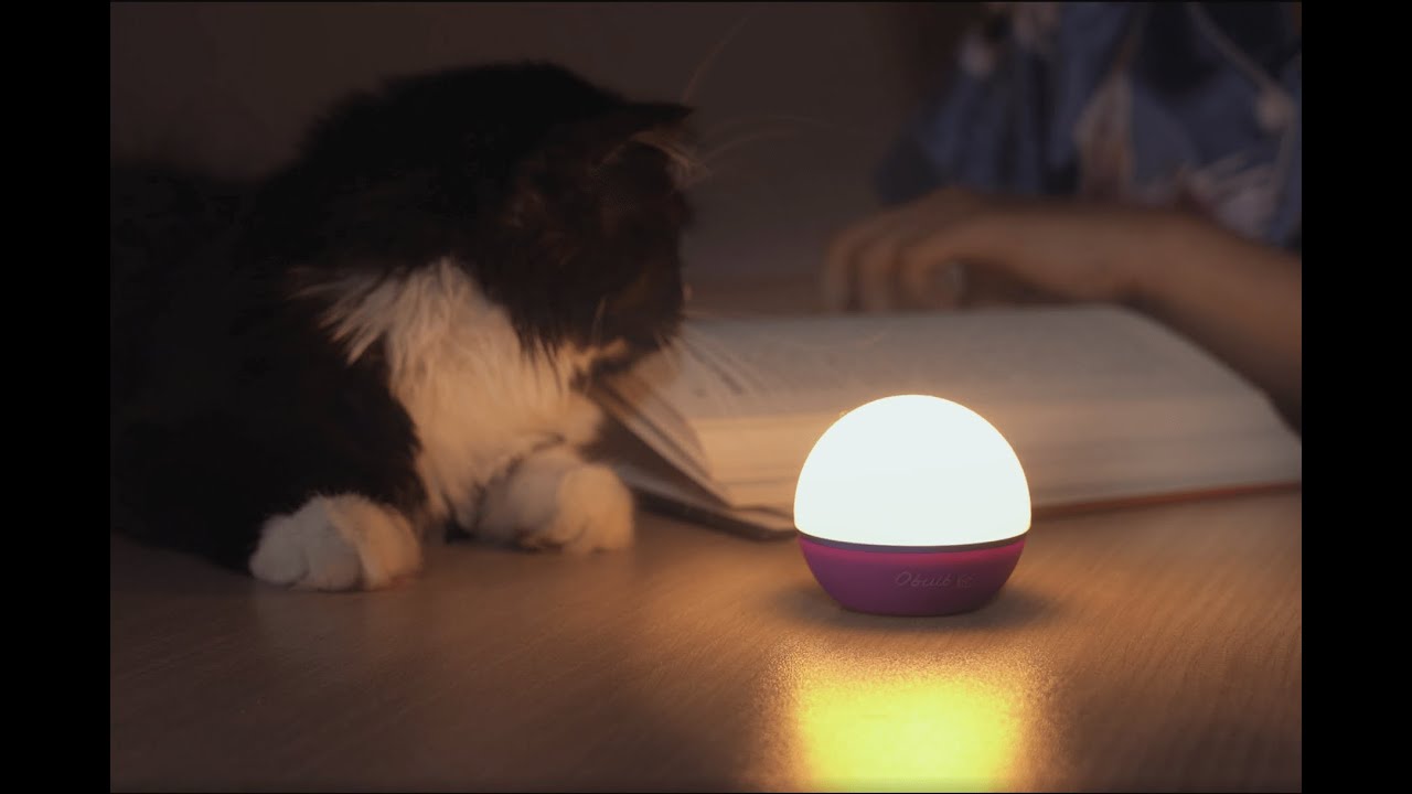 Olight Obulb Purple | Mini Toy Light EDC Torch - YouTube