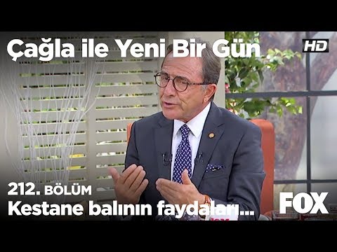 Kestane balının faydaları... Çağla ile Yeni Bir Gün 212. Bölüm