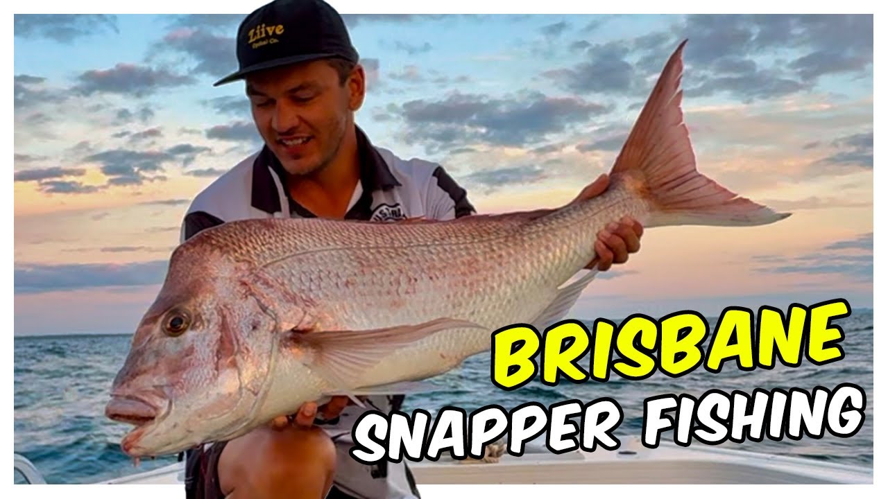 MONSTER BRISSY SNAPPER | Unbelievable Sunrise session!! - YouTube