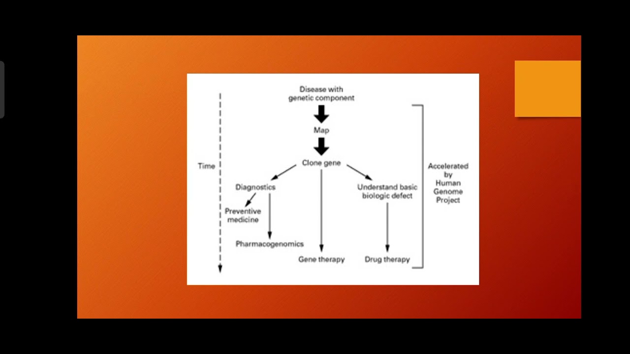 Human Genome Project| Biology| Class 12| HGP| Class 12 Biology| PPT ...