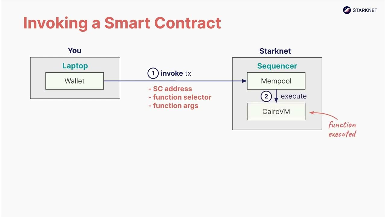 Starknet: Invoking a Smart Contract - YouTube