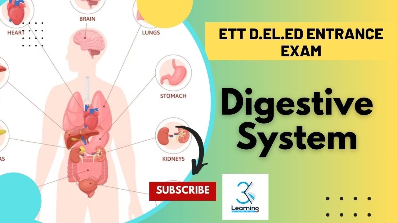 CLASS 3 | Digestive System || #nehasharma|| ETT ENTRANCE IN PUNJAB ...